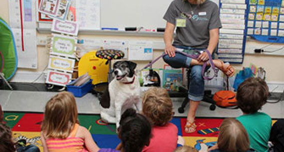 HSHV in the classroom - HSHV