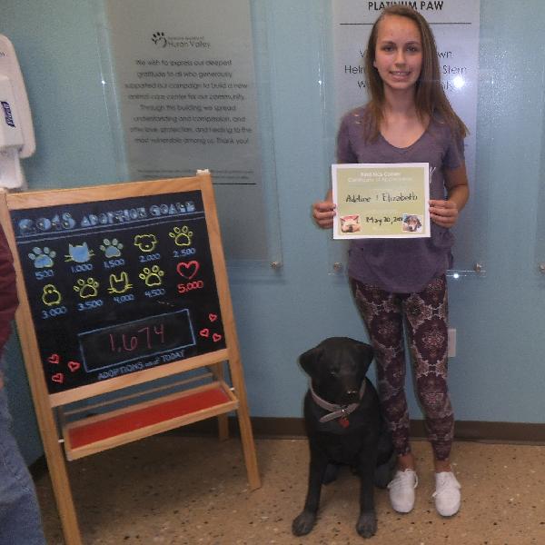 Adeline and Elizabeth: A+ Class project - HSHV