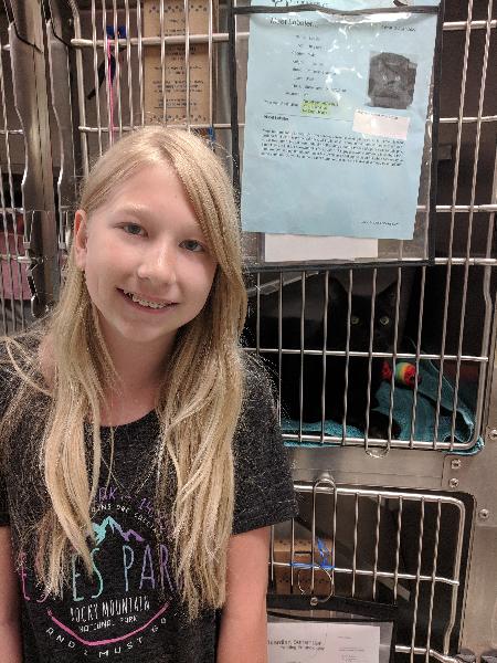 Bella: Donation for the Greater Good - HSHV