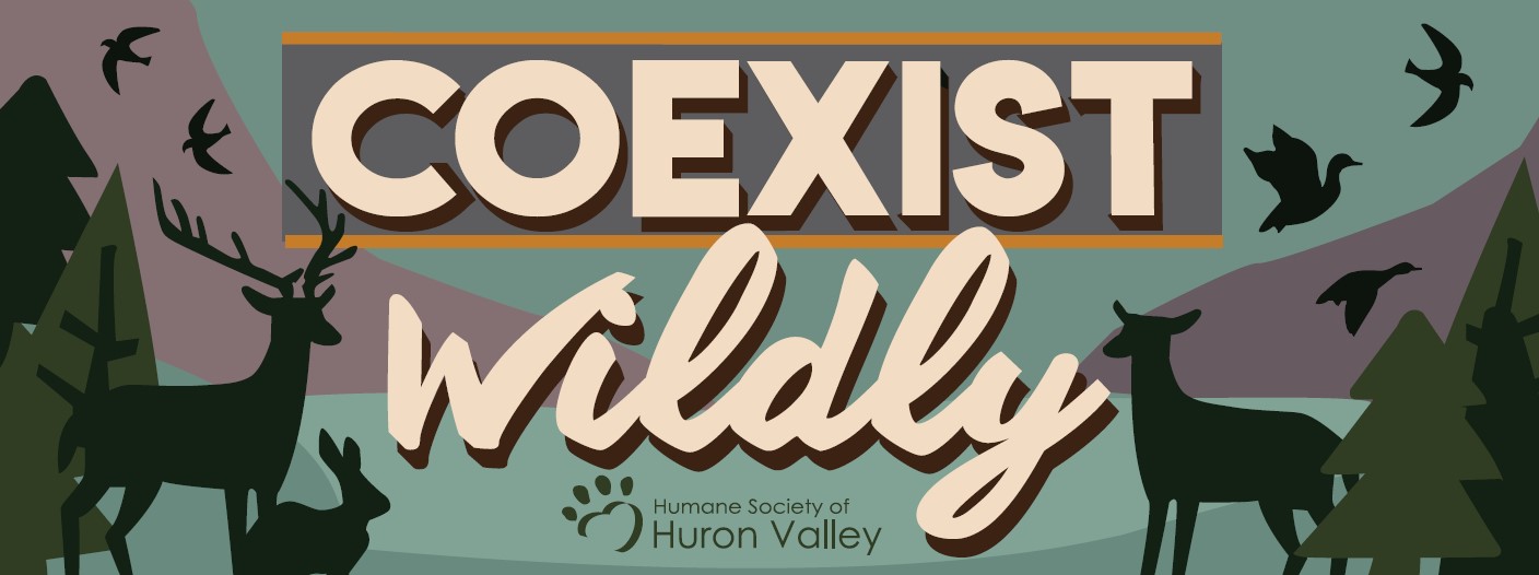Co-exist Wildly - HSHV