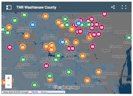 Community Cat map 2020 - HSHV