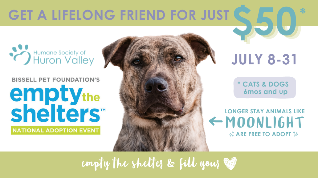 Humane Society of Huron Valley joins 390+ shelters nationwide to Empty the Shelters™ - HSHV