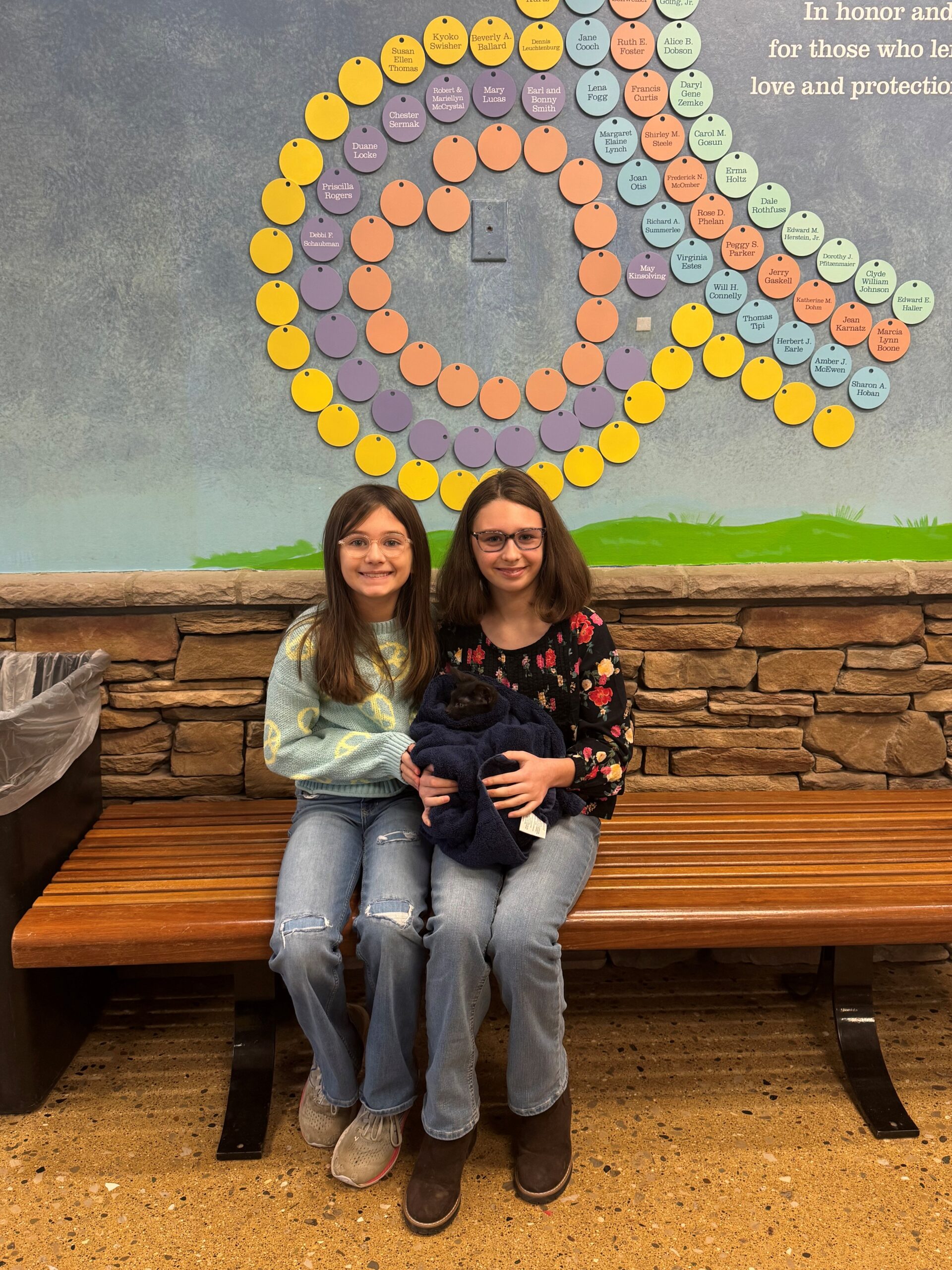 Pet Rescue Friends - HSHV