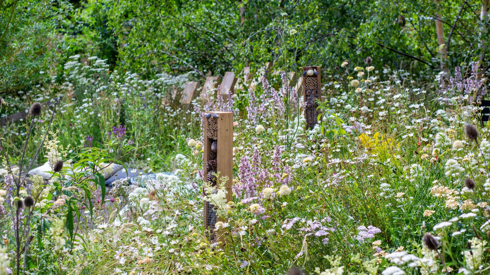 Wildlife-Friendly Homes Kickoff Event - HSHV
