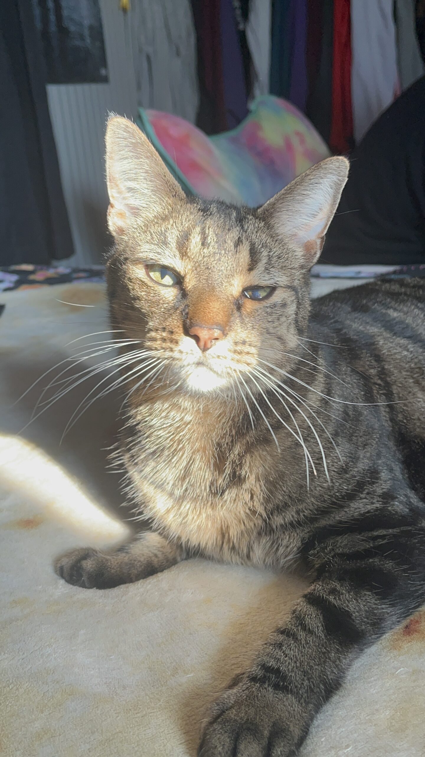 My best friend for the last decade - HSHV