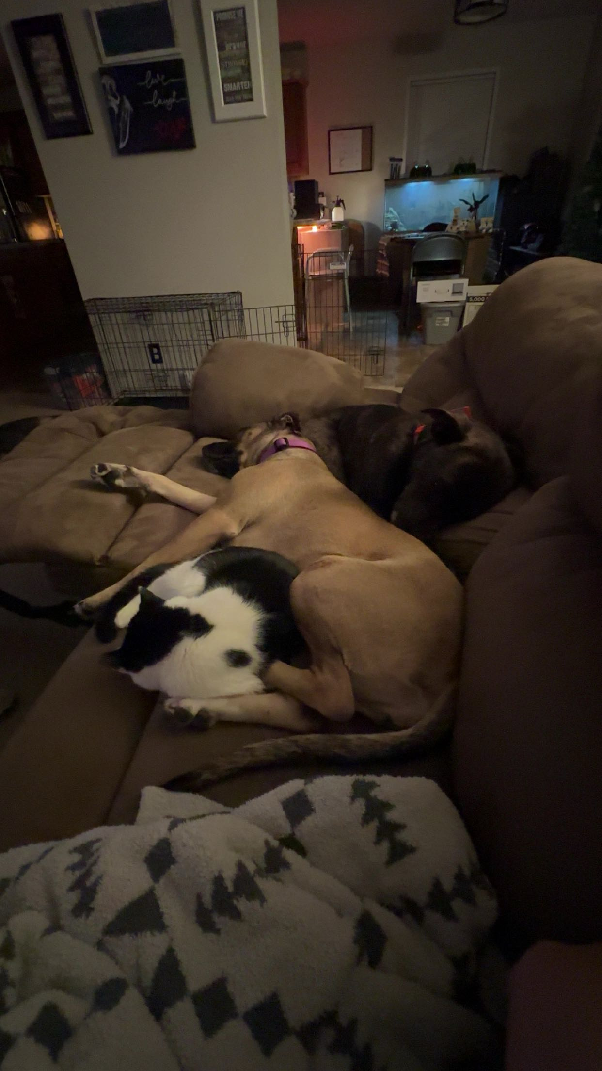 Our missing puzzle pieces - HSHV